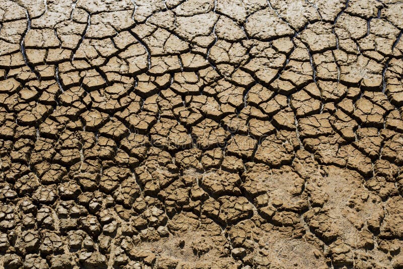 Cracked land texture stock image. Image of close, dirt - 48249363