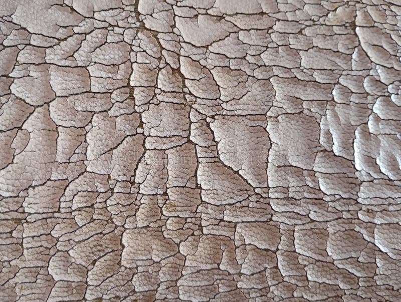 Cracked Leather Texture Close-up. Stock Image - Image of abstract ...