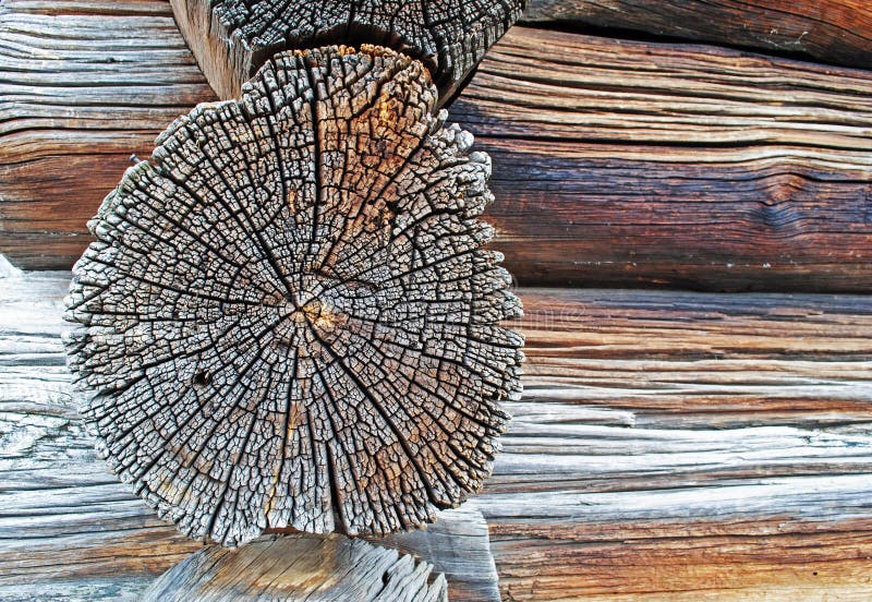 Cracked logs stock photo. Image of logs, wooden, blockhouse - 53852420