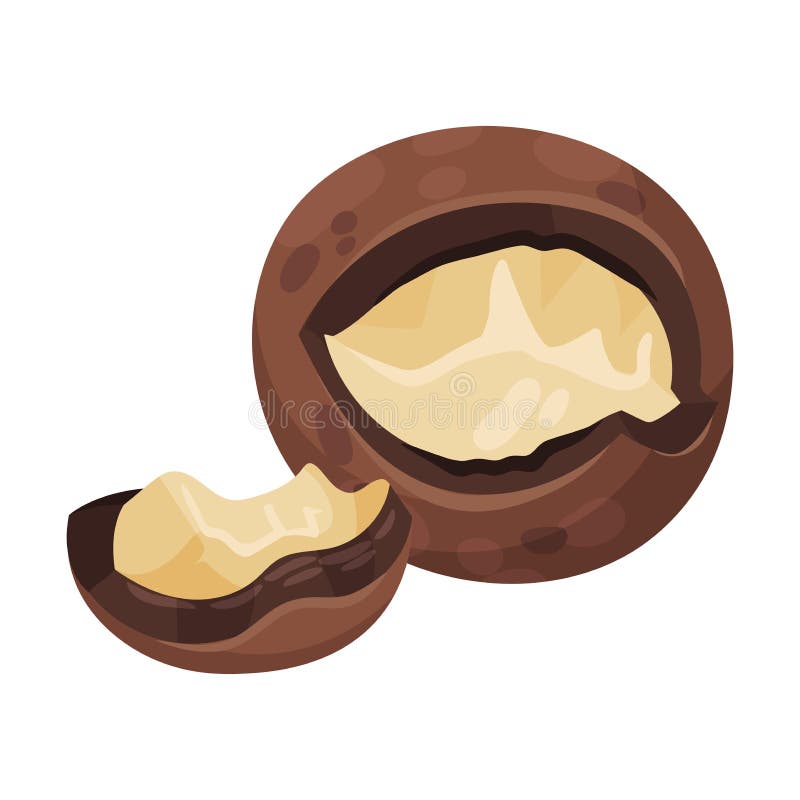 Cracked Nut Shell Stock Illustrations – 2,160 Cracked Nut Shell Stock ...