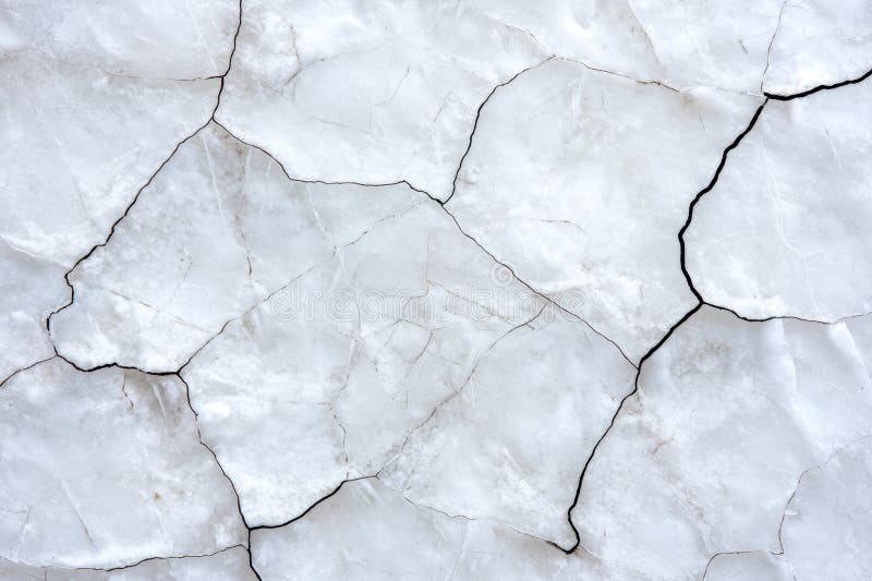 Cracked Marble Texture with Ivy Border Stock Illustration - Illustration of pattern, high: 343835280