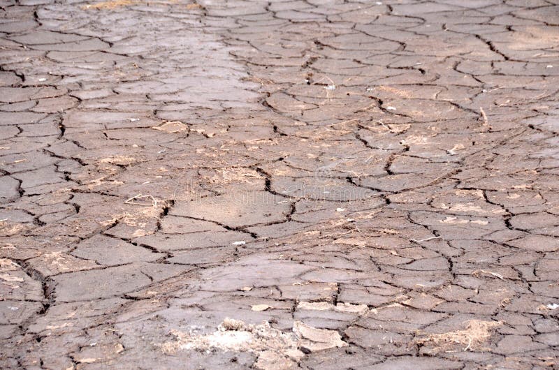 Cracked Mud Lake Bottom stock image. Image of muck, drought - 144342755