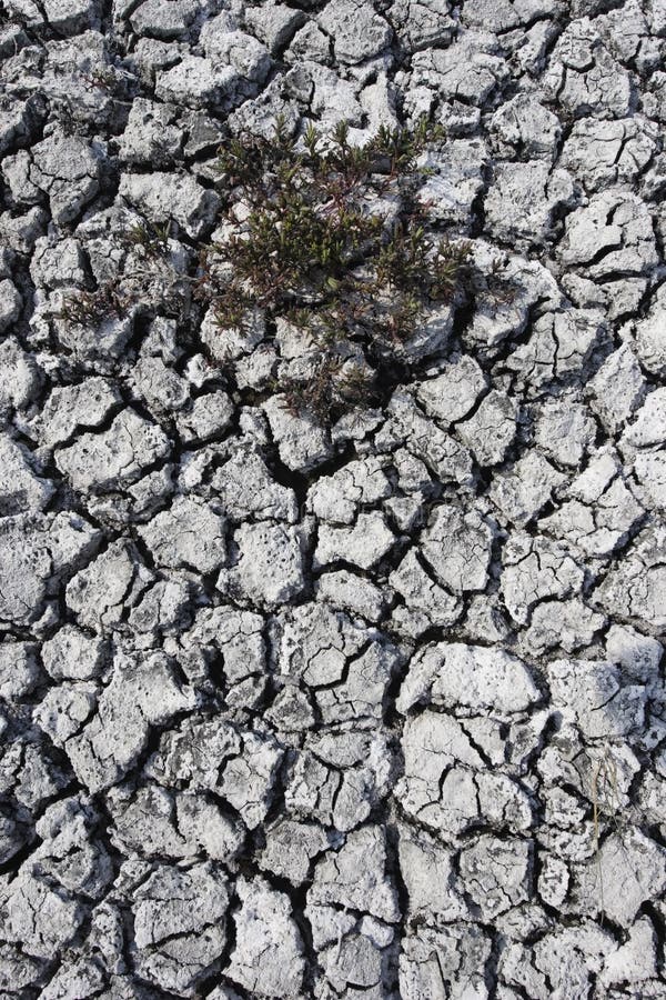 Cracked Mud on Dried Up Big Muddy Lake Stock Photo - Image of ...
