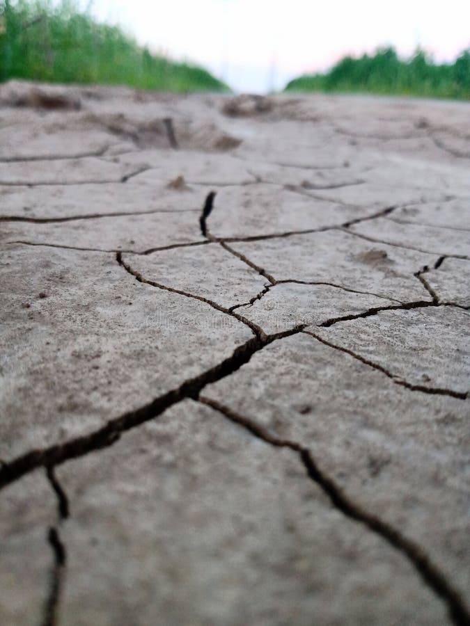 Cracked Mud Ground in Hot Summer and Green Fields in the Background ...