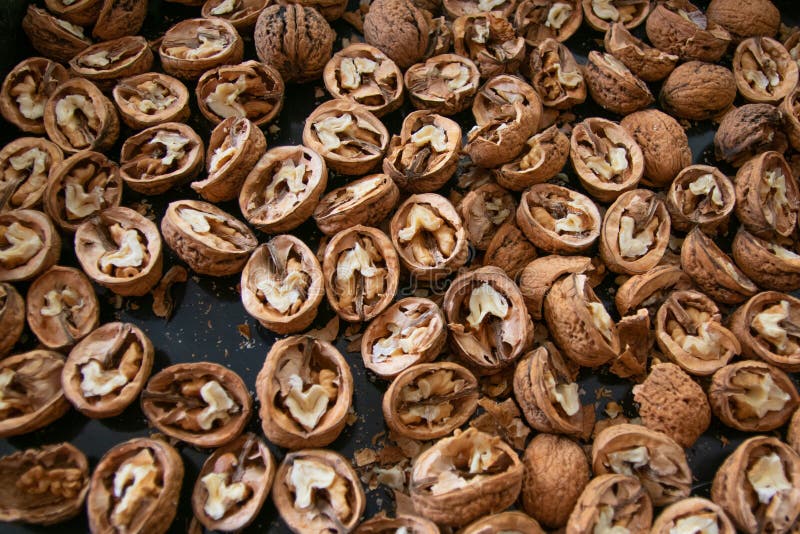 Cracked Nuts, Nuts on Eating Stock Image - Image of wood, caffeine ...