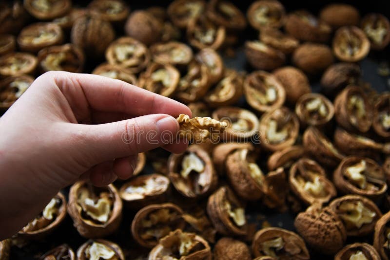 Cracked Nuts, Nuts on Eating Stock Photo - Image of gourmet, taste ...