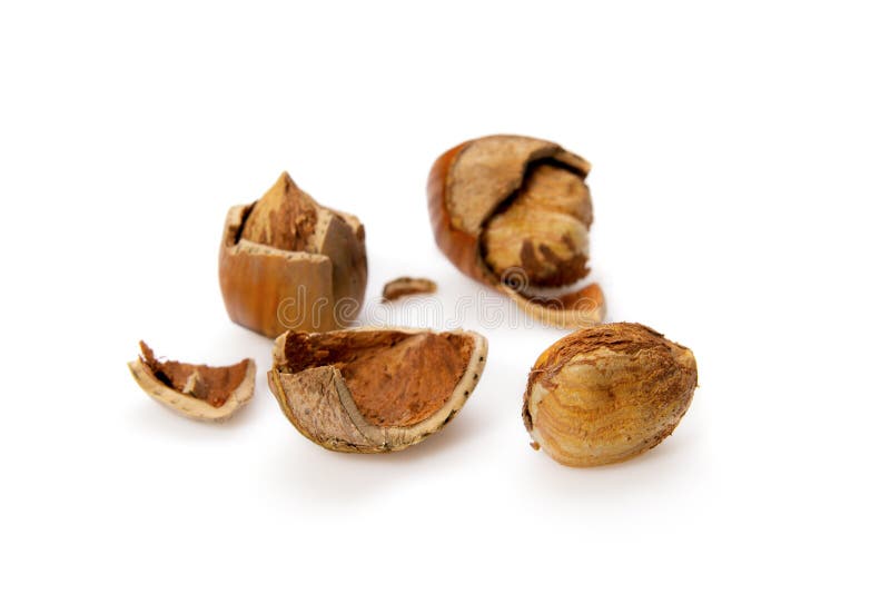 Cracked nuts stock photo. Image of snack, hazel, group - 38342200