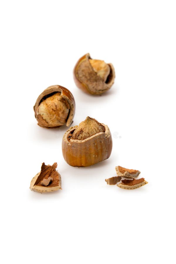 Cracked nuts stock image. Image of white, filbert, crack - 38342427