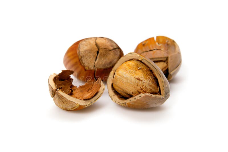 Cracked nuts stock image. Image of white, filbert, crack - 38342427