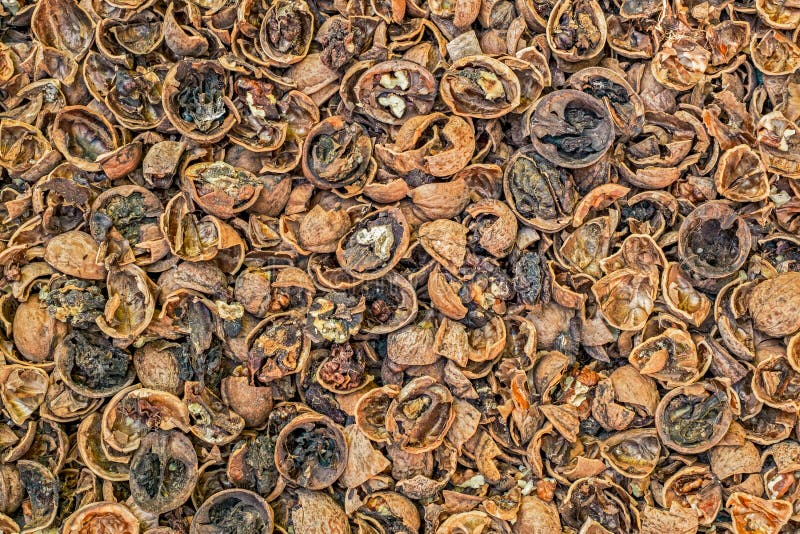 Cracked Nut With The Nuts On The Background 2 Stock Image - Image of ...