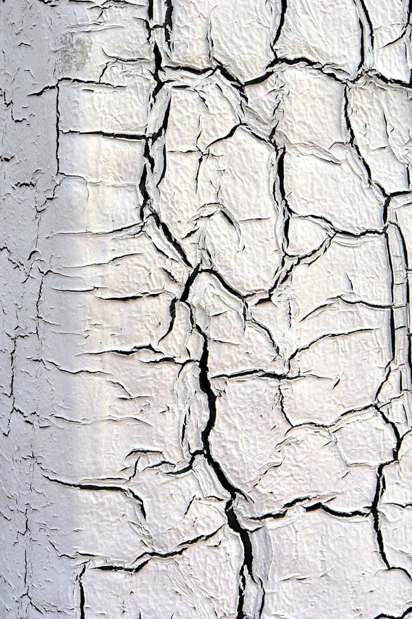Cracked Paint Picture. Image: 3948767