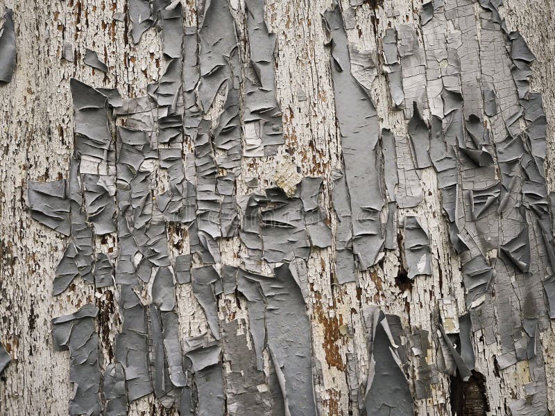 Cracked Paint Surface. Grey Color. Stock Photo - Image of abstract ...