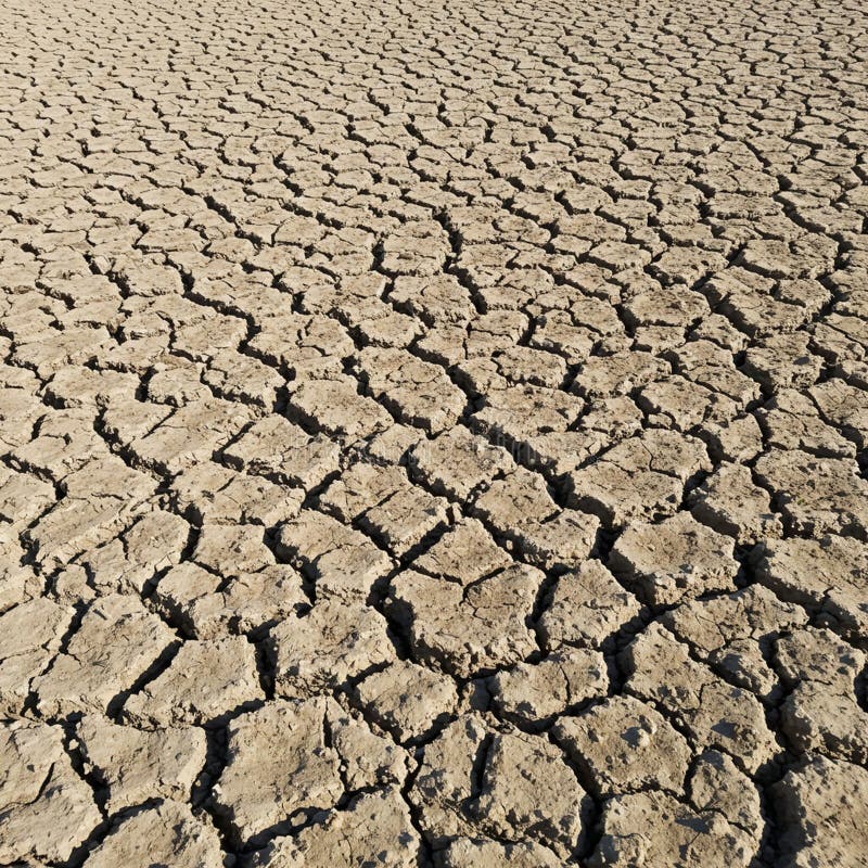 Cracked and Parched Earth, Indicative of Severe Drought. the Barren ...
