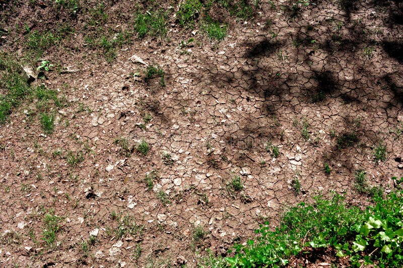 Cracked Parched Earth without Water Stock Photo - Image of brown ...