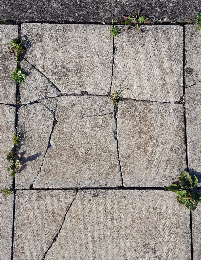 Kerbside Weeds Stock Photos - Free & Royalty-Free Stock Photos from ...