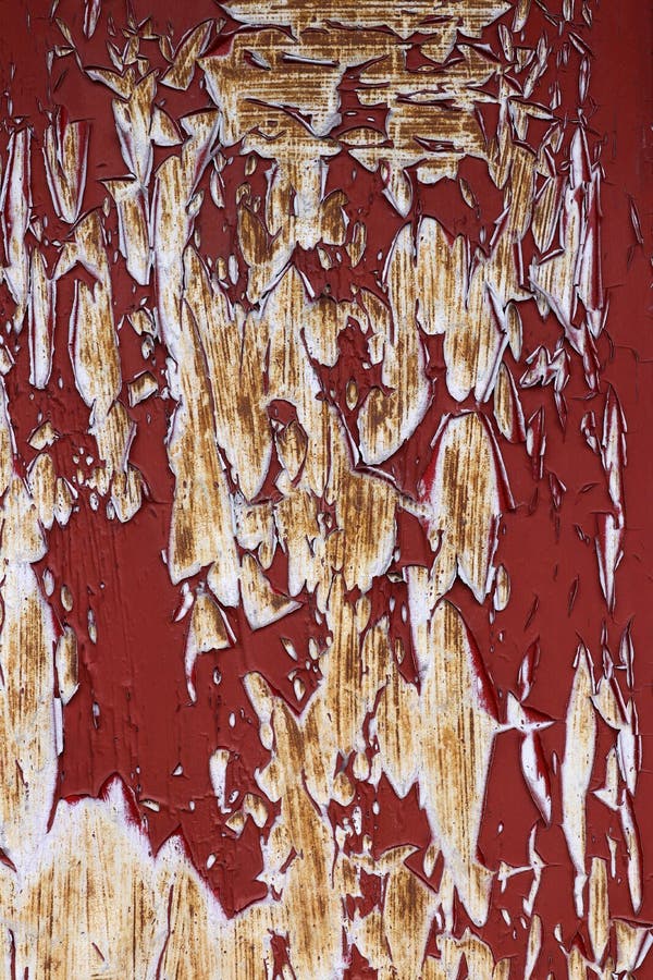 Smashed Scale Stock Photos - Free & Royalty-Free Stock Photos from ...