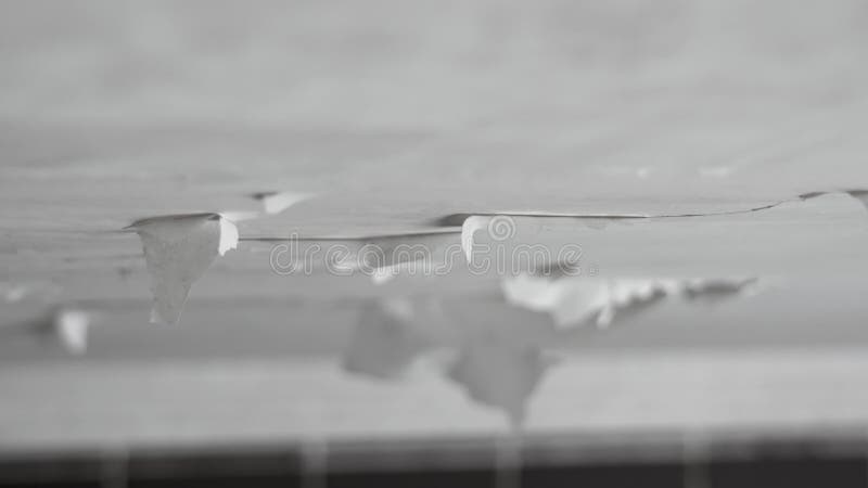 Cracked Peeling Layer of White Paint on the Bathroom Ceiling. Damaged ...