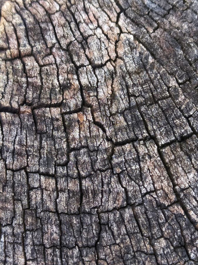 Cracked Pieces of Weathered Wood, Logs Stock Image - Image of pieces ...