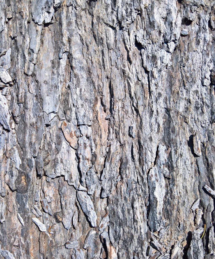 Cracked Rock Background stock image. Image of beauty - 86370299