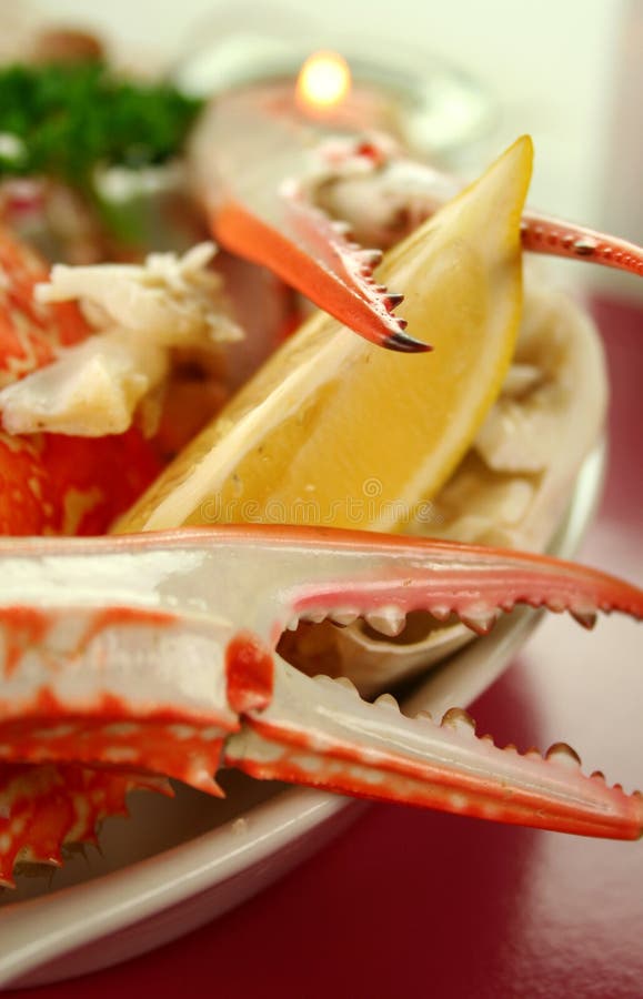 Cracked crab stock photo. Image of meat, ocean, fish, food - 9193576