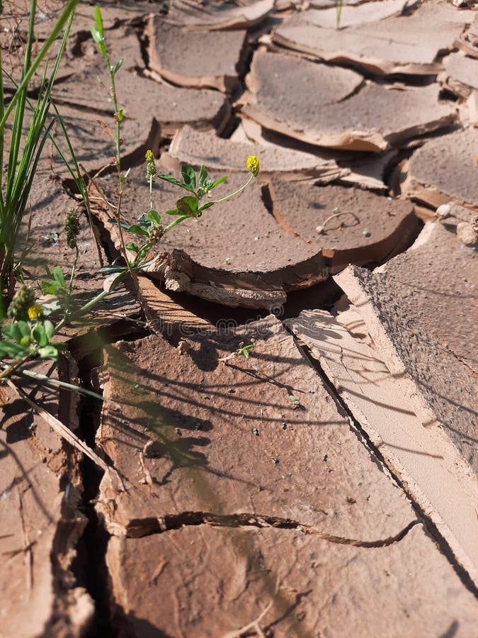 Cracked sand stock photo. Image of soil, nature, sand - 258042398
