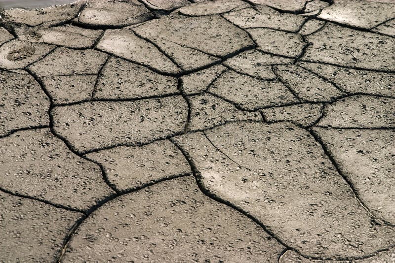 Cracked Shell Picture. Image: 976670