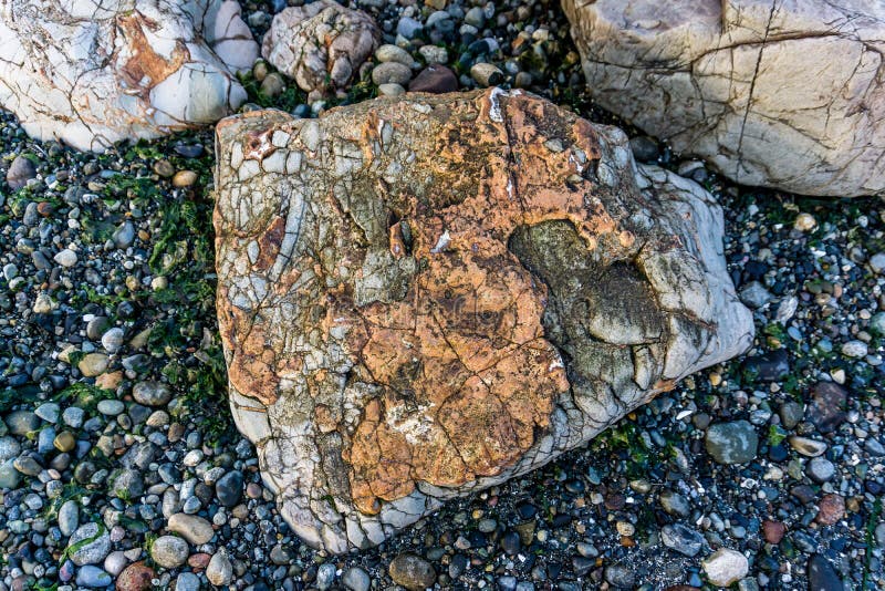 Cracked Shoreline Rocks 4 stock photo. Image of outdoors - 199396334
