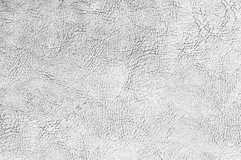Cracked Skin Texture Black and White Stock Image - Image of skin ...