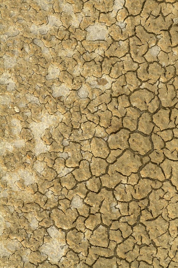 Desert Texture stock image. Image of tone, mojave, earth - 95037