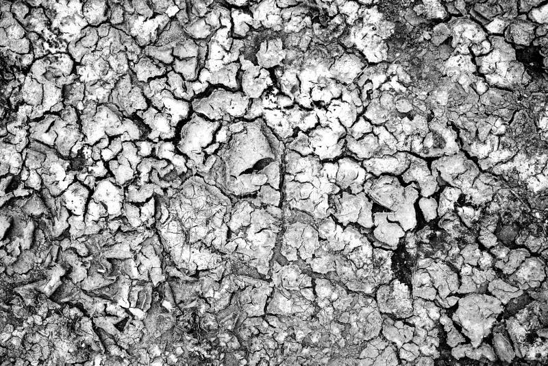 Parched Monochrome Soil Background Stock Photos - Free & Royalty-Free ...