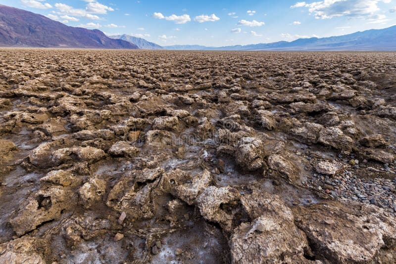 Death in soil stock photo. Image of black, broken, death - 8469020