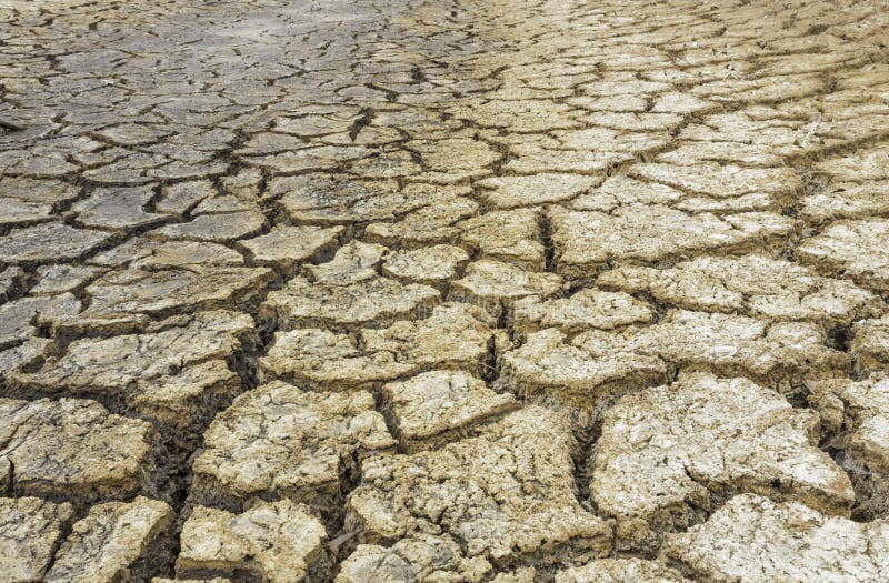 Cracked Glade Ground with Moss Seamless Texture. Dry Land with Grass ...