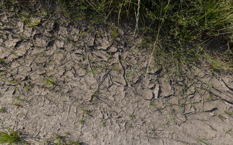 Cracked Soil in a Field during a Drought Stock Photo - Image of ...