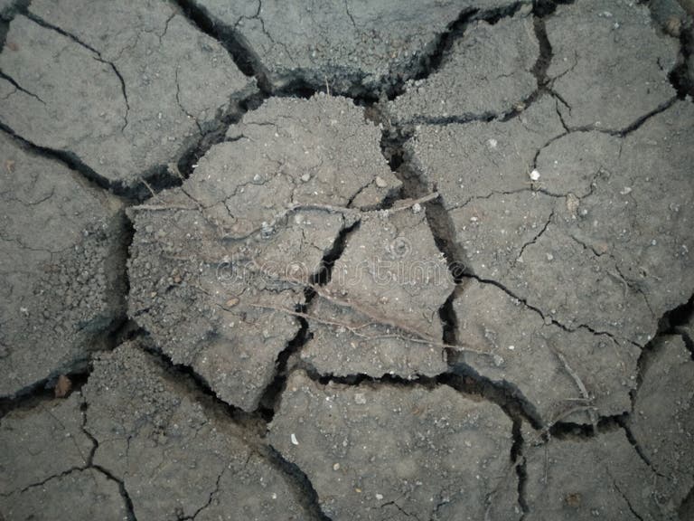 Cracked Soil Surface Texture Background Stock Photo - Image of thin ...