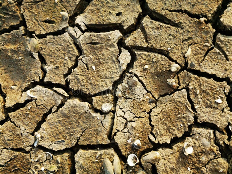Cracked Soil at Swamp in Summer Stock Image - Image of summer, pattern ...