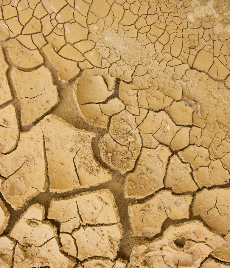 Cracked soil texture stock image. Image of desolate, heat - 23848565