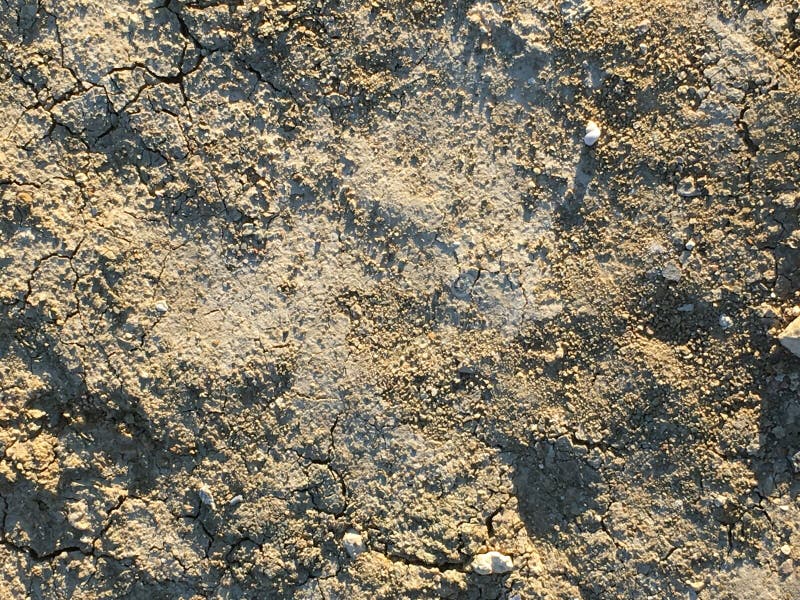 Cracked soil texture stock image. Image of ground, dirt - 96923785