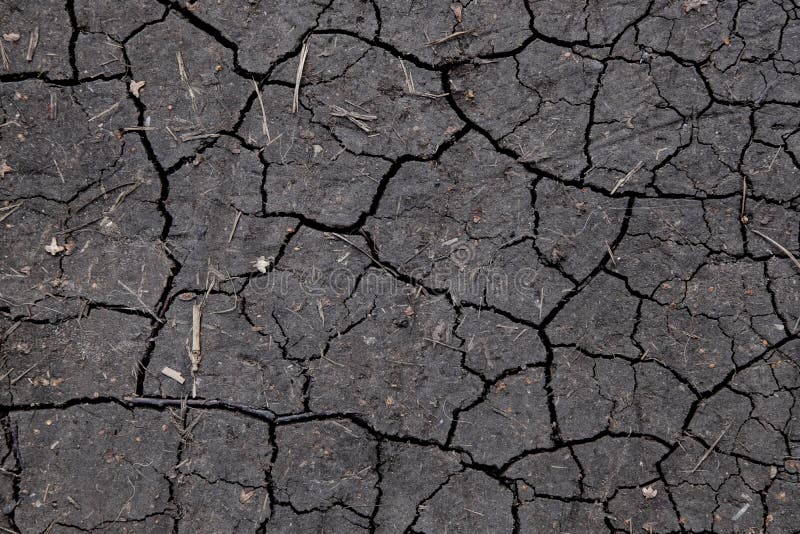 Cracked soil texture. stock photo. Image of abstract - 194648576