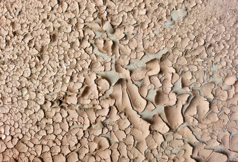 Cracked soil texture stock photo. Image of rough, summer - 311067398