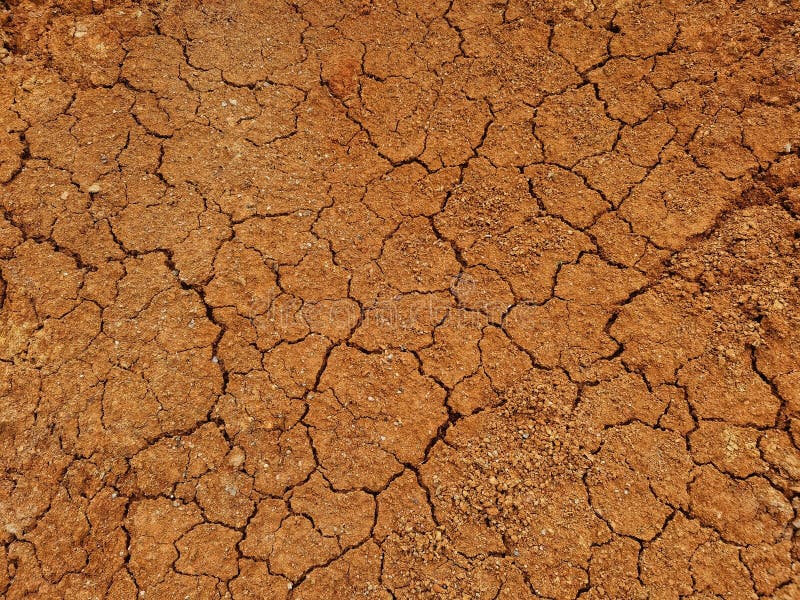 Cracked soil texture stock photo. Image of environmental - 311069962