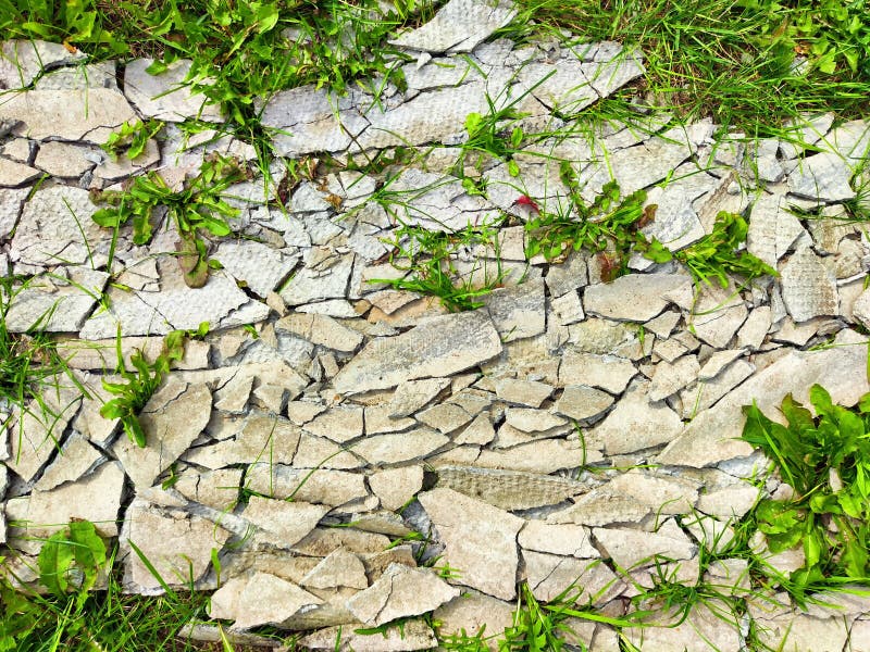 A Cracked Stone Path Weaves through Lush Grass, Providing a Textured ...