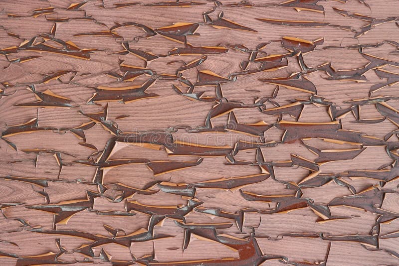 Cracked from Time Withered Old Plastic & X27;like Wood& X27; Sticker ...