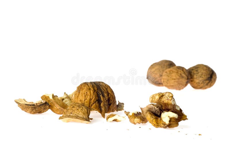 Cracked walnut stock photo. Image of omega, walnoot, fall - 10259916