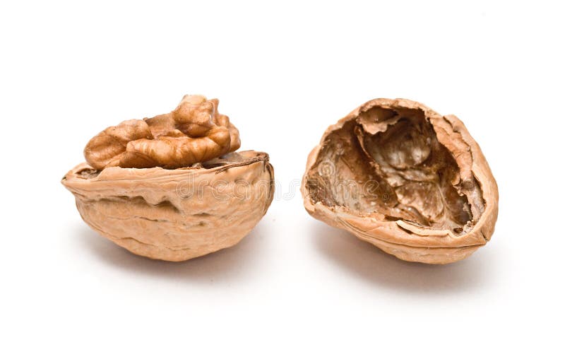 Cracked walnut stock image. Image of oily, juglans, shell - 10409157