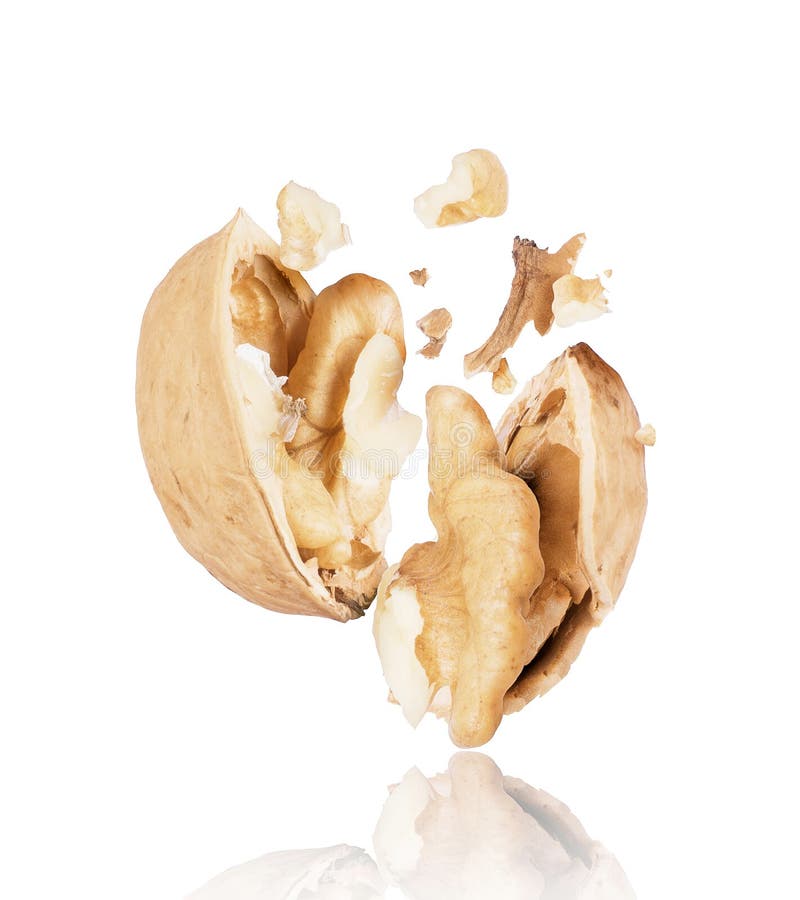 419 Nut Fraction Stock Photos - Free & Royalty-Free Stock Photos from ...