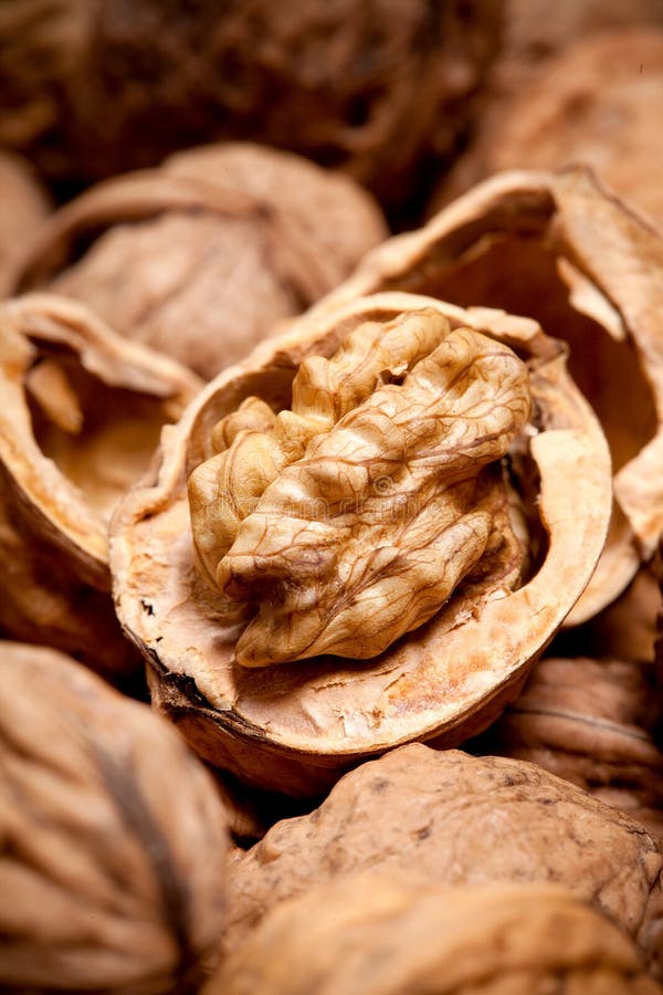 Dried walnut husks stock photo. Image of pattern, food - 47018866
