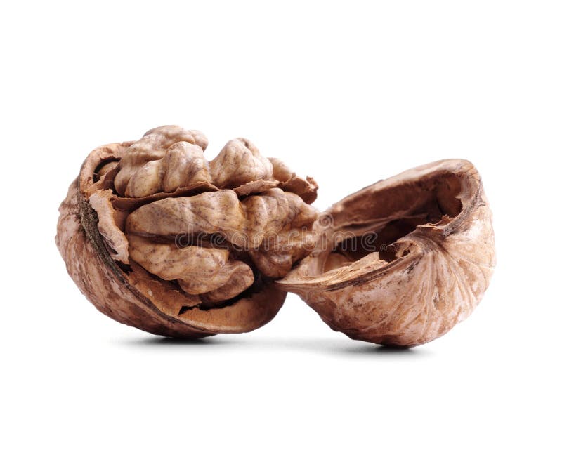 Crack walnut stock photo. Image of ingredient, nature - 20427546