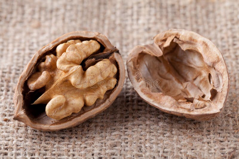 Cracked Walnut, Kernel Inside Stock Image - Image of nutshell ...
