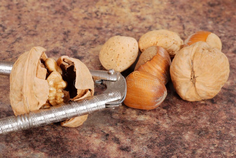 Cracked Walnut with Nutcracker Stock Image - Image of details, husk ...