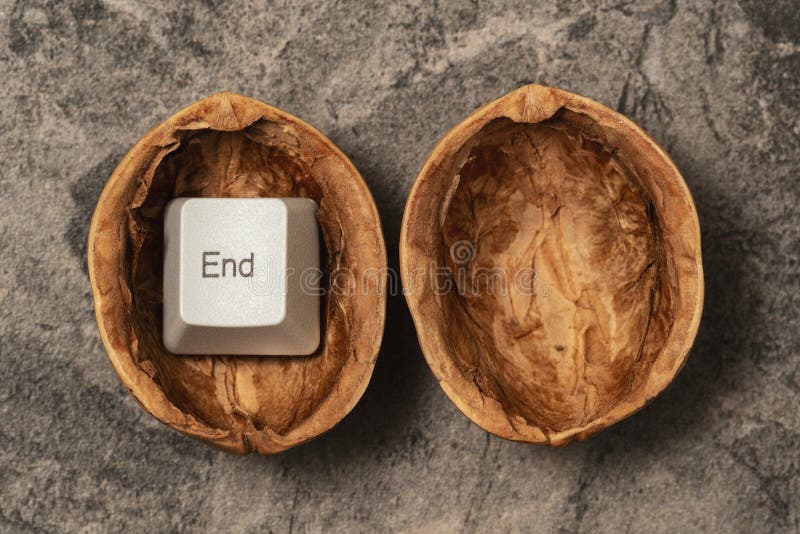 Cracked Walnut Shell with a END Key of Computer Keyboard Stock Image ...